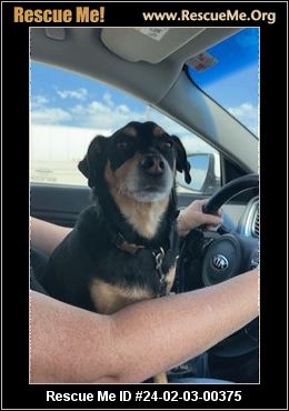 - Utah Dog Rescue - ADOPTIONS - Rescue Me!