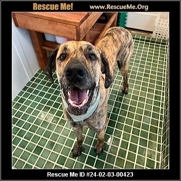 - Utah Dog Rescue - ADOPTIONS - Rescue Me!