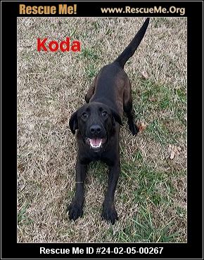 - Alabama Dog Rescue - ADOPTIONS - Rescue Me!