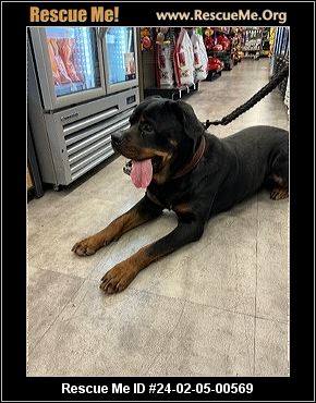 - New Jersey Rottweiler Rescue - ADOPTIONS - Rescue Me!