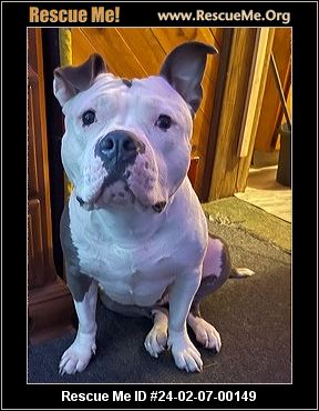 - Pennsylvania Dog Rescue - ADOPTIONS - Rescue Me!