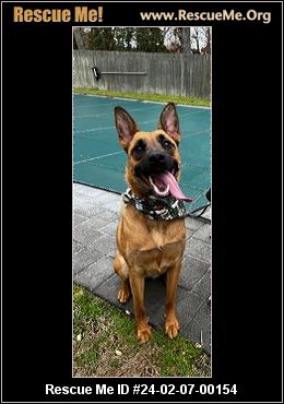 - New York Dog Rescue - ADOPTIONS - Rescue Me!