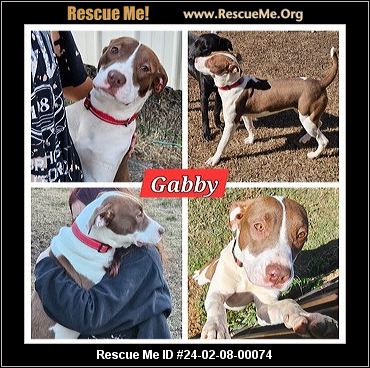 - Louisiana Dog Rescue - ADOPTIONS - Rescue Me!