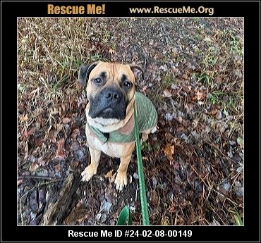 - Pennsylvania Dog Rescue - ADOPTIONS - Rescue Me!