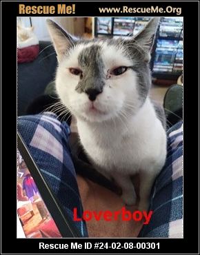 - California Cat Rescue - ADOPTIONS - Rescue Me!