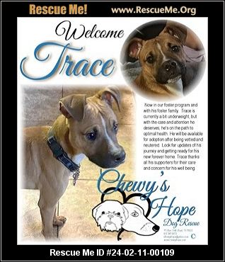 - Texas Mutt Rescue - ADOPTIONS - Rescue Me!