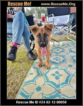 - Georgia Dog Rescue - ADOPTIONS - Rescue Me!