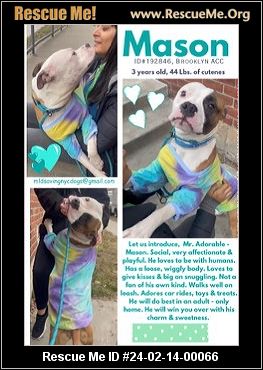 - New York Dog Rescue - ADOPTIONS - Rescue Me!