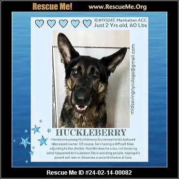 - New York Dog Rescue - ADOPTIONS - Rescue Me!