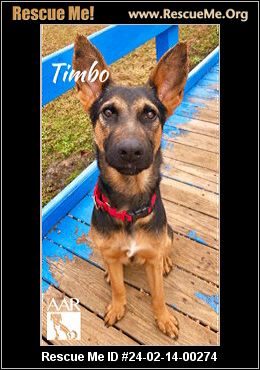 - Texas Mutt Rescue - ADOPTIONS - Rescue Me!