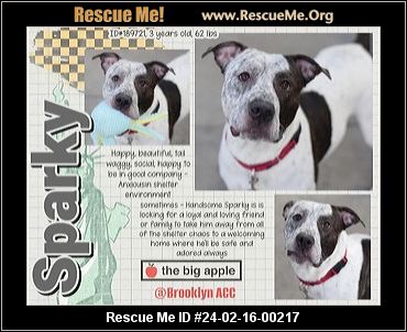 - New York Dog Rescue - ADOPTIONS - Rescue Me!