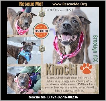 - New York Dog Rescue - ADOPTIONS - Rescue Me!