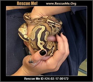 - Oregon Reptile/Amphibian Rescue - ADOPTIONS - Rescue Me!
