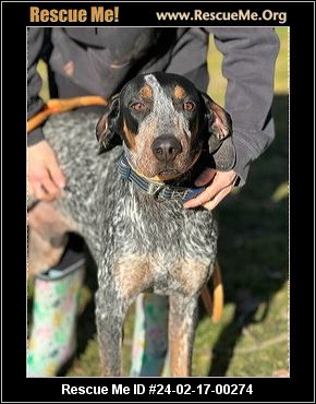 - New Jersey Dog Rescue - ADOPTIONS - Rescue Me!