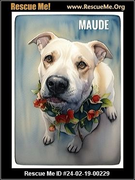 - Michigan Dog Rescue - ADOPTIONS - Rescue Me!