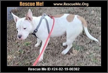 - Maryland Dog Rescue - ADOPTIONS - Rescue Me!