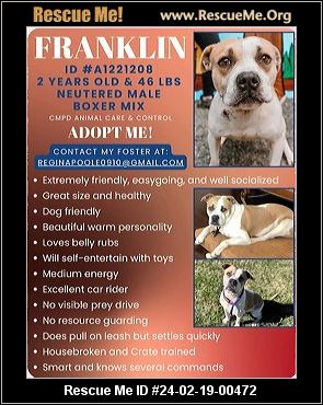 - North Carolina Dog Rescue - ADOPTIONS - Rescue Me!