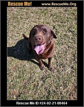 - Maryland Dog Rescue - ADOPTIONS - Rescue Me!