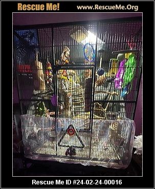 - Washington Pet Bird Rescue - ADOPTIONS - Rescue Me!