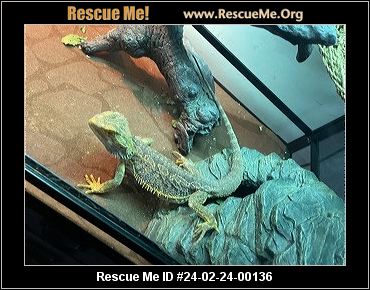 - New Jersey Reptile/Amphibian Rescue - ADOPTIONS - Rescue Me!