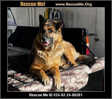 - Utah Dog Rescue - ADOPTIONS - Rescue Me!
