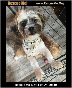 - New Jersey Dog Rescue - ADOPTIONS - Rescue Me!