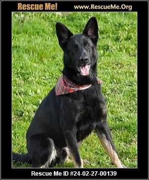 - Oregon Dog Rescue - ADOPTIONS - Rescue Me!