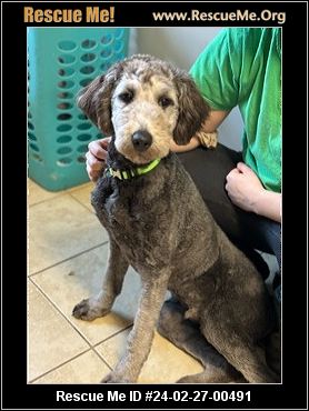 - New Jersey Mutt Rescue - ADOPTIONS - Rescue Me!