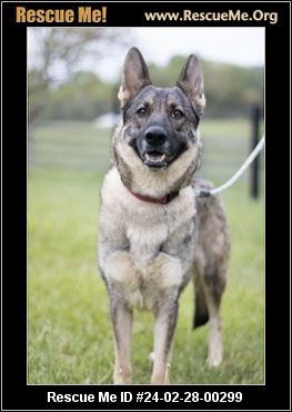 - Virginia Dog Rescue - ADOPTIONS - Rescue Me!