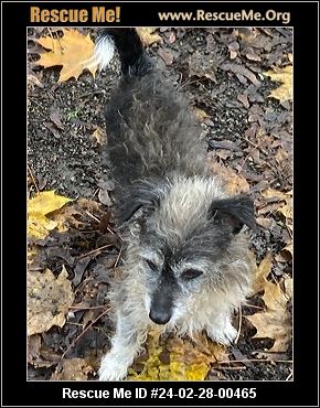 - Oregon Dog Rescue - ADOPTIONS - Rescue Me!