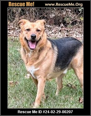 - Mississippi Dog Rescue - ADOPTIONS - Rescue Me!