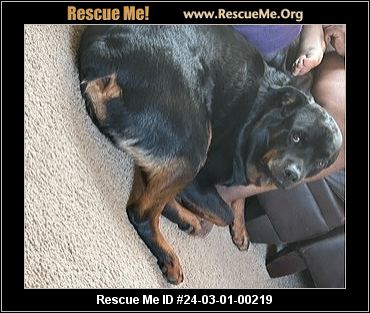- Maryland Rottweiler Rescue - ADOPTIONS - Rescue Me!