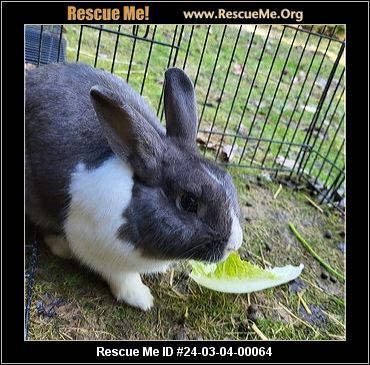 - Pennsylvania Rabbit Rescue - ADOPTIONS - Rescue Me!