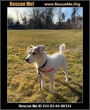 - New Jersey Dog Rescue - ADOPTIONS - Rescue Me!