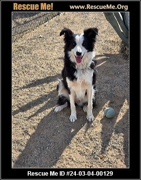 - Arizona Dog Rescue - ADOPTIONS - Rescue Me!