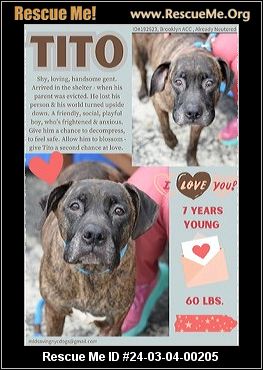 - New York Dog Rescue - ADOPTIONS - Rescue Me!