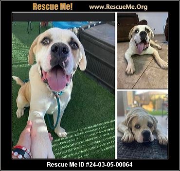 - Arizona Dog Rescue - ADOPTIONS - Rescue Me!
