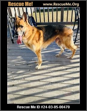 - South Dakota Dog Rescue - ADOPTIONS - Rescue Me!