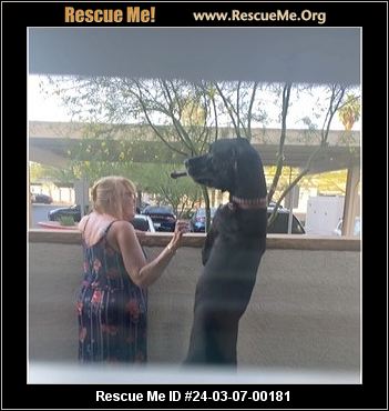 - Arizona Dog Rescue - ADOPTIONS - Rescue Me!
