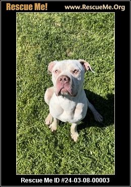 - Texas Mutt Rescue - ADOPTIONS - Rescue Me!