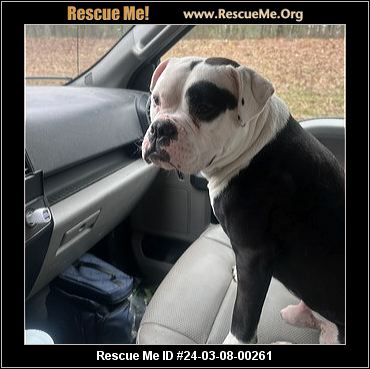 - Virginia Dog Rescue - ADOPTIONS - Rescue Me!