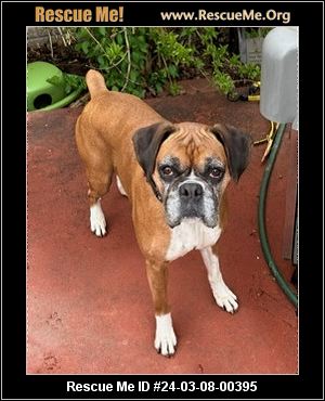 - Iowa Dog Rescue - ADOPTIONS - Rescue Me!