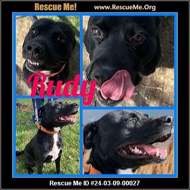 - Indiana Dog Rescue - ADOPTIONS - Rescue Me!