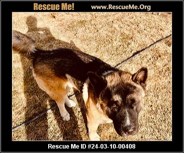 - Colorado Dog Rescue - ADOPTIONS - Rescue Me!
