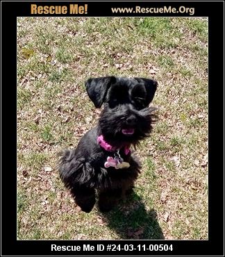 - North Carolina Dog Rescue - ADOPTIONS - Rescue Me!