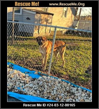 - Delaware Dog Rescue - ADOPTIONS - Rescue Me!