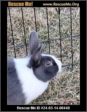 - Pennsylvania Rabbit Rescue - ADOPTIONS - Rescue Me!