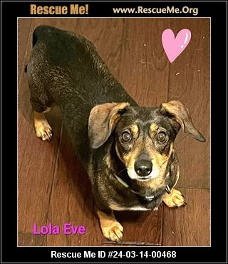 - Pennsylvania Beagle Rescue - ADOPTIONS - Rescue Me!