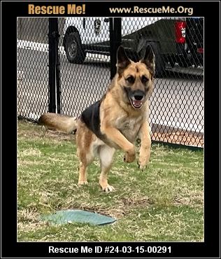 - Texas German Shepherd Rescue - ADOPTIONS - Rescue Me!
