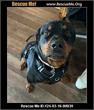 - Texas Rottweiler Rescue - ADOPTIONS - Rescue Me!